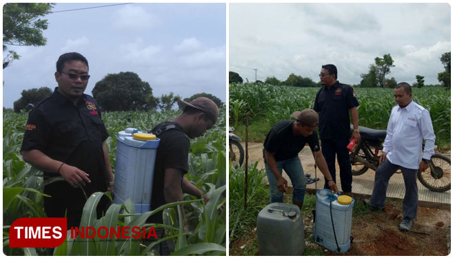 DPD Jatim Pemuda Tani Indonesia Dukung Program Kementan - TIMES Indonesia