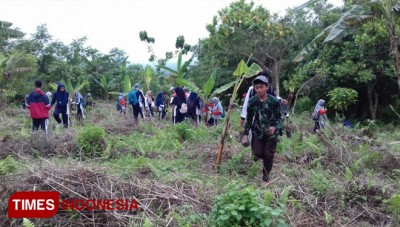 Laskar Hijau Tanam Ratusan Pohon Bersama Pelajar di Gunung Lemongan ...