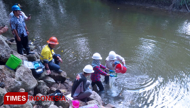 Monitoring Lingkungan PT BSI Terbaik di Indonesia - TIMES Indonesia