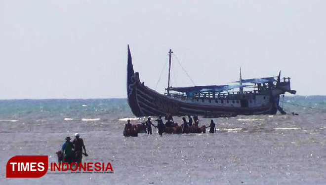 Pengiriman Sapi Madura ke Probolinggo Naik Dua Kali Lipat - TIMES Indonesia