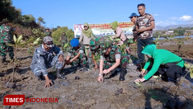 Jelang HUT TNI ke-73, Kodim 1601/ST Tanam Bakau di Pantai Waingapu - TIMES Indonesia