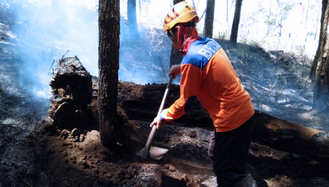 BNPB Latih Operator Pusdalops Dua Aplikasi Digital - TIMES Indonesia