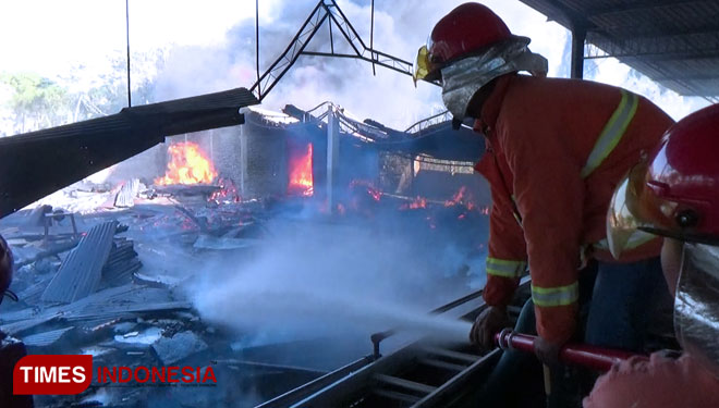 Kebakaran Hanguskan Gudang Penyimpanan Kayu di Probolinggo - TIMES Indonesia