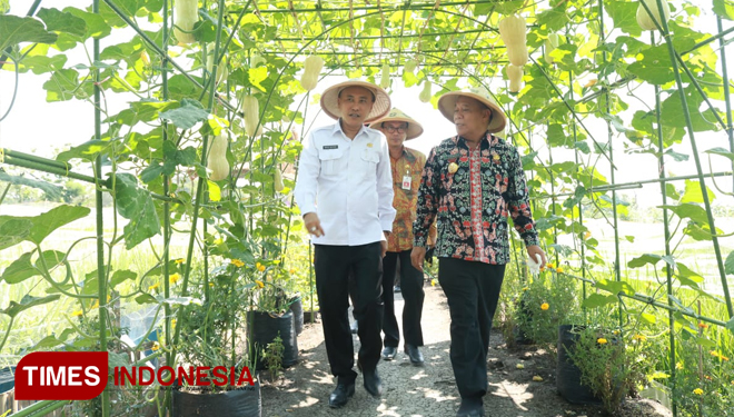 Pakar: Manajemen Tanaman Sehat Sukses Dikembangkan di Jawa Timur ...