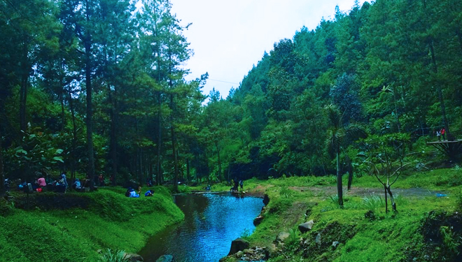 Mandi di Coban Putri, Merasakan Sensasi Tempat Mandi Ratu Kendedes ...