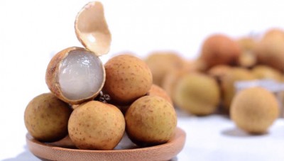 Longan, An Exotic Fruit with Dozens Benefits - TIMES Indonesia