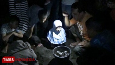 The Olive Ridley Sea Turtle Laid Their Egg at the Marina Boom ...