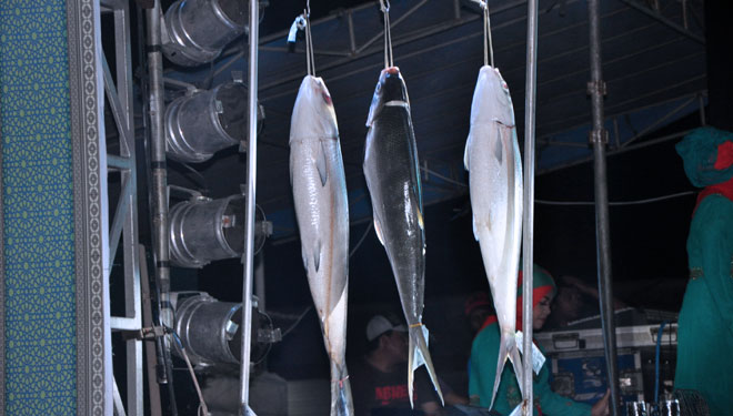Kontes Bandeng, Pemkab Pastikan Asli dari Petambak Gresik - TIMES Indonesia