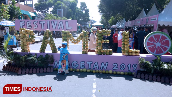 Festival Jeruk Pamelo untuk Sambut Pemudik di Magetan Berlangsung ...