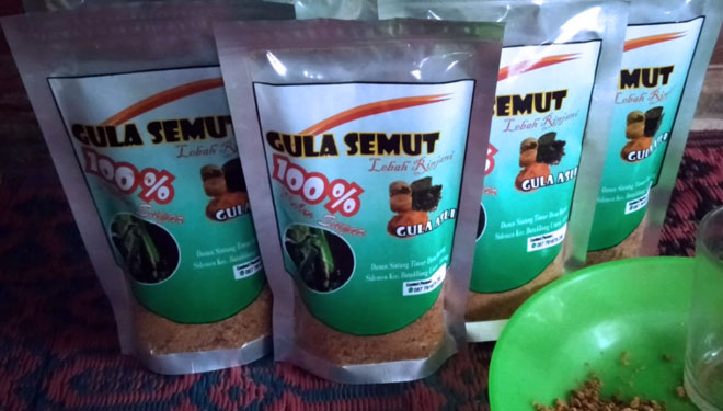 Gula Semut, Inovasi Baru Olahan Gula Tradisional - TIMES Indonesia