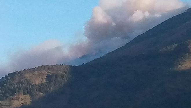 Kebakaran Hutan Di Gunung Merbabu Kian Meluas Times Indonesia