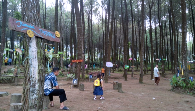 Wisata Precet Forest Park - TIMES Indonesia