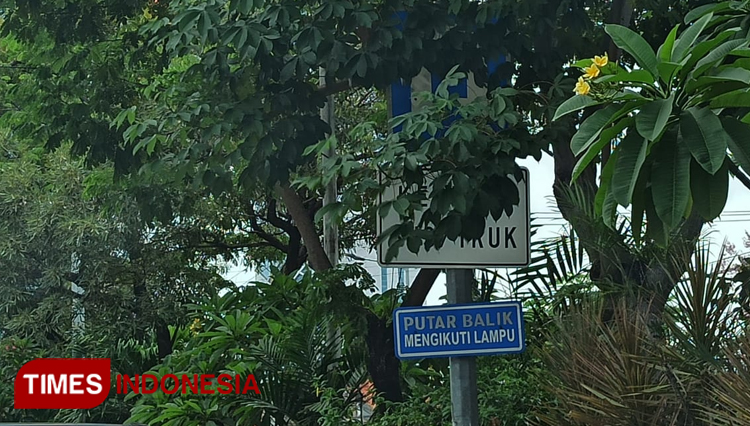 Rambu Lalu Lintas Tertutup Pohon, Begini Kata Dishub Kota Surabaya ...