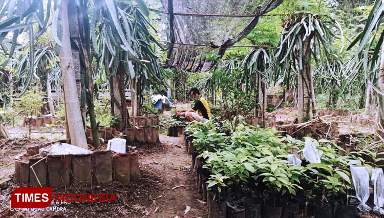 Edukasi Warga, Pokmas Selo Mulyo Ponorogo Beri Benih Tanaman Gratis ...
