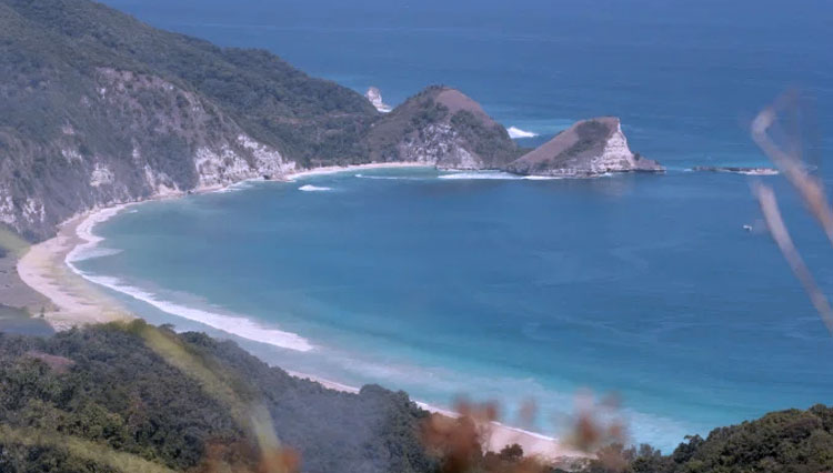 Enjoy the Beauty of Kambaru Beach East Sumba - TIMES Indonesia