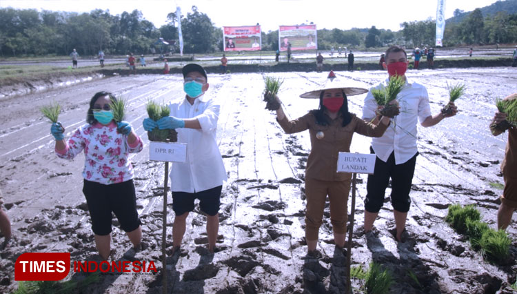 Pantang Mundur Hadapi Pandemi Covid-19, Bupati Landak Dampingi Warga ...
