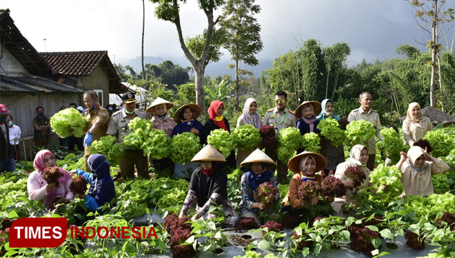 Hari Krida Pertanian 2020, Mentan RI: Jaga Optimisme Pertanian Indonesia - TIMES Indonesia