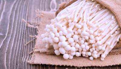 Jamur Enoki, Tanaman Liar yang Jadi Bahan Makanan dan Obat - TIMES ...