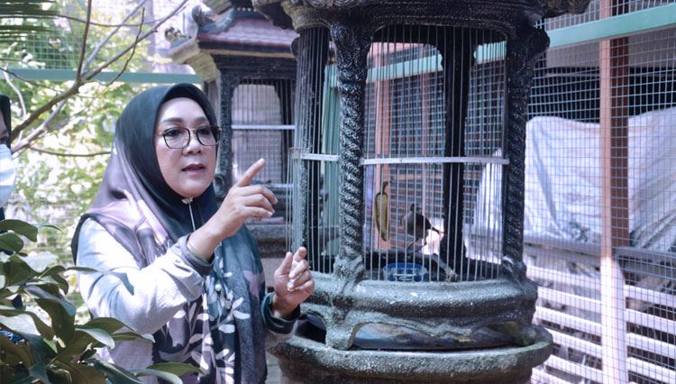 Pilwali Mataram 2020, Duet Selly-Manan akan Bangun Kebun Binatang ...