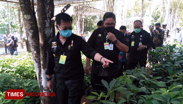 Alpukat Pameling, Buah Unggulan Desa Wonorejo yang Siap Go ... Alpukat Pameling, Buah Unggulan Desa Wonorejo yang Siap Go ...