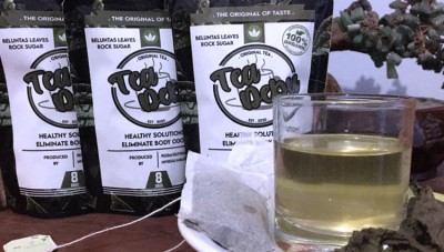 Beluntas, This Fence Plant Has Tremendous Benefit for You - TIMES Indonesia