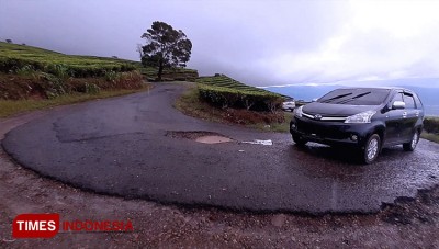 Akses Jalan Menuju Wisata Tugu Rimau Rusak dan Berlubang - TIMES Indonesia