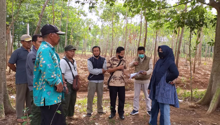 Reforma Agraria, Kementan RI Manfaatkan Lahan Perhutanan Sosial Garap ...
