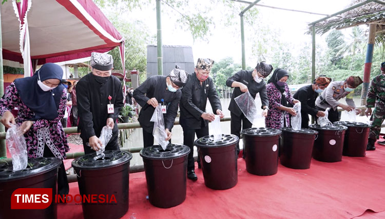 Sungai di Banyuwangi Disulap Jadi Destinasi Wisata, Yuk Kunjungi Waduk ...