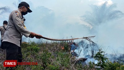 Kebakaran Melanda Perkebunan Sawit di Abdya Aceh - TIMES Indonesia