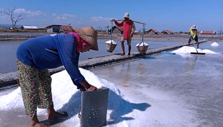Indonesia Impor Garam, Ini Penjelasan Menteri KKP RI - TIMES Indonesia