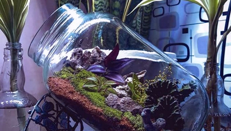 FP UWG Malang Gelar Festival Terrarium Creation Competition - TIMES ...