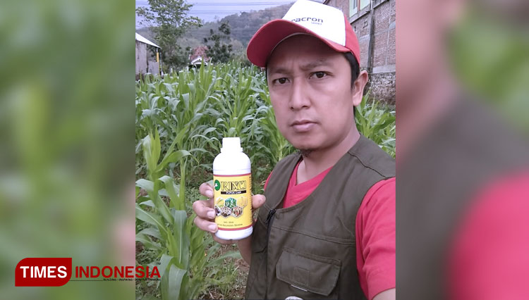 Manfaatkan Limbah Urin Kelinci, Guru di Pacitan Sukses Bikin Pupuk ...