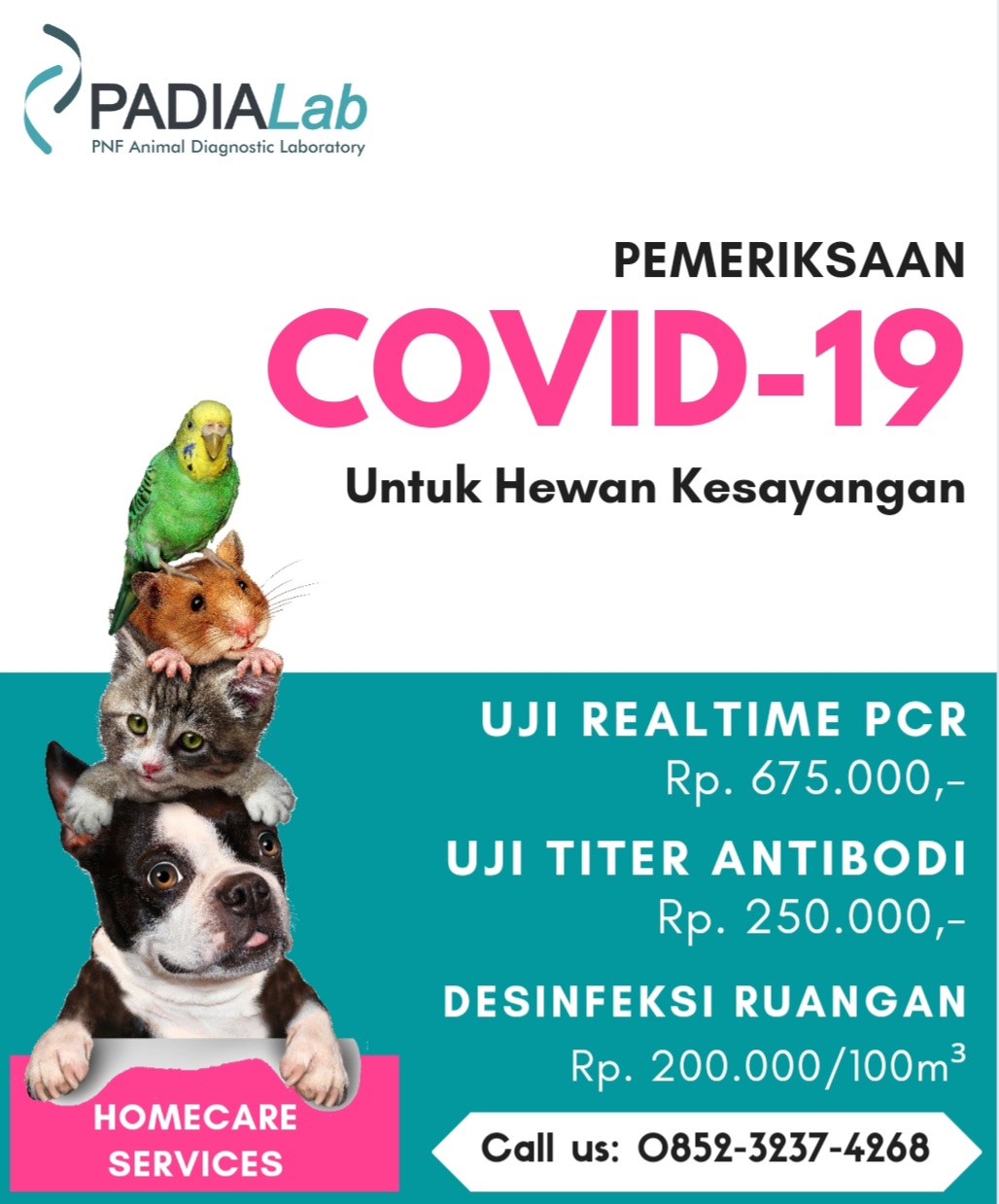 Prof Nidom Ungkap Langkah Penanganan Hewan Peliharaan Apabila Terpapar ...