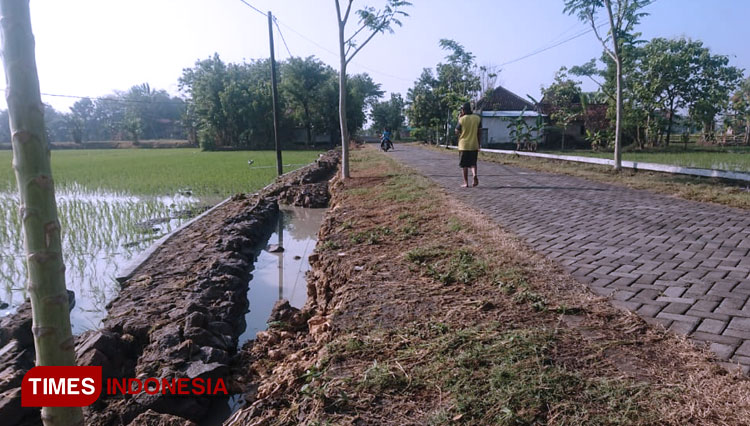 Diguyur Hujan Semalam, Talut Jalan Desa di Ngawi Jebol dan Bikin Jalan ...