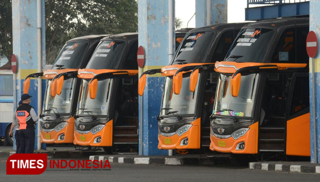 Penumpang Wajib Pakai Aplikasi PeduliLindungi, Terminal Arjosari Malang ...