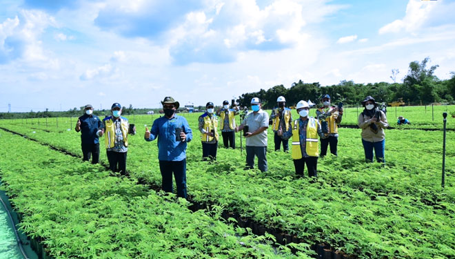 Kementerian PUPR RI Bangun Prasarana Air Baku di Persemaian Modern ...
