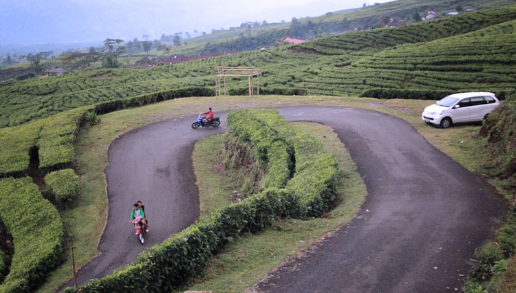 Jalur Akses Wisata Puncak Rimau akan Diperlebar - TIMES Indonesia